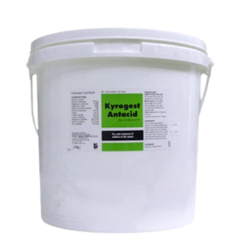 Kyrogest Antacid 320g X 12 – Cura Pharm