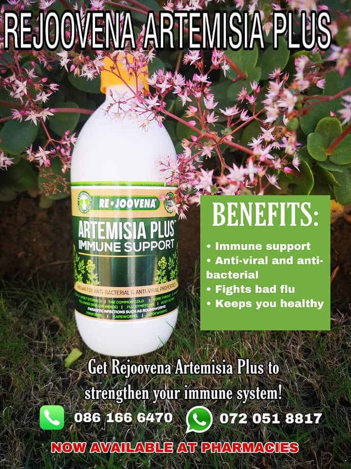 Rejoovena Artemisia Plus 500ml – Cura Pharm